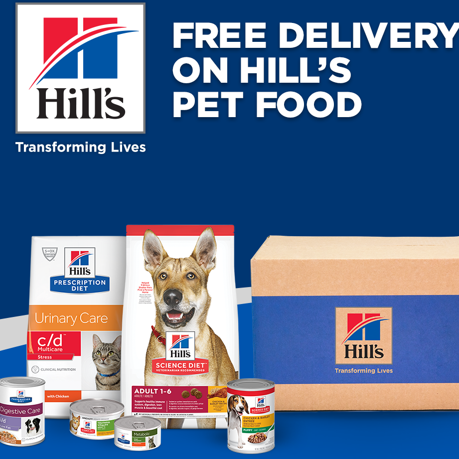 Dermatology FAQs | Veterinarian in Richmond, TX